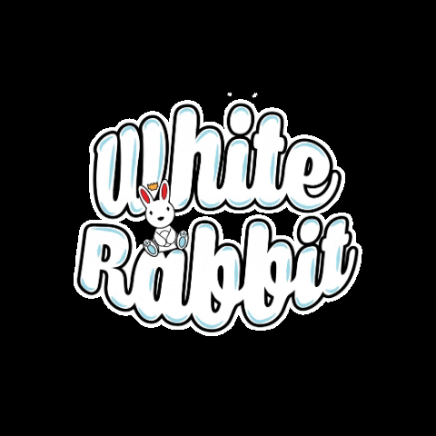 White Rabbit GIFs - Find & Share on GIPHY