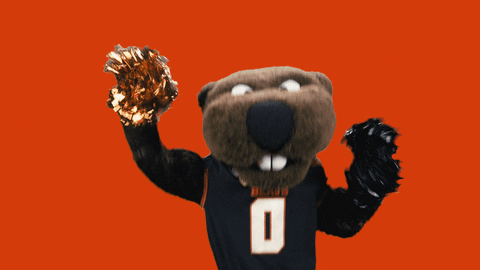 International-beaver-day GIFs - Get the best GIF on GIPHY