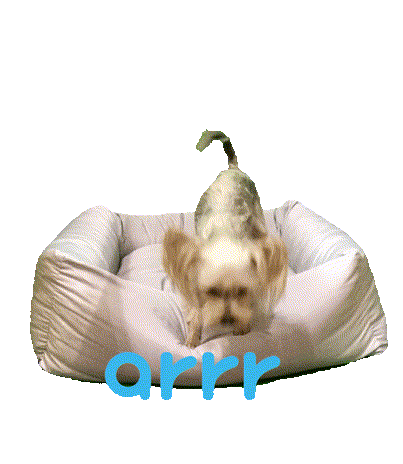 아르르 Sticker by arrr_official for iOS & Android | GIPHY