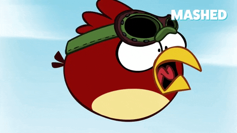 Angry Birds GIFs on GIPHY - Be Animated