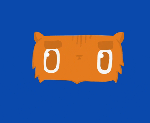 Cat Chase GIFs on GIPHY - Be Animated