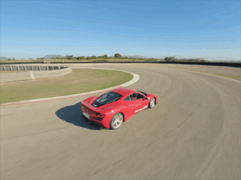 We Can Race GIFs on GIPHY - Be Animated