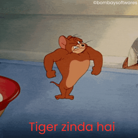 Tiger-fight-back GIFs - Get the best GIF on GIPHY