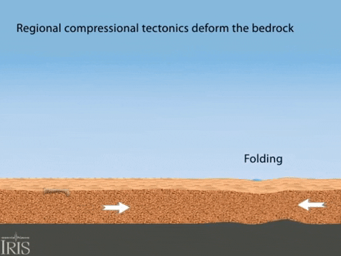 Iris Geology GIF by Incorporated Research Institutions for Seismology ...