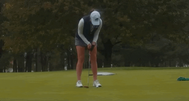 Hole In One Golf GIFs - Get the best GIF on GIPHY