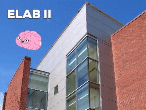 UMass Engineering GIFs on GIPHY - Be Animated