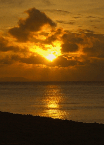 Bbc Earth Ocean GIF by Head Like an Orange - Find & Share on GIPHY