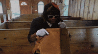 Mask-meme GIFs - Get the best GIF on GIPHY