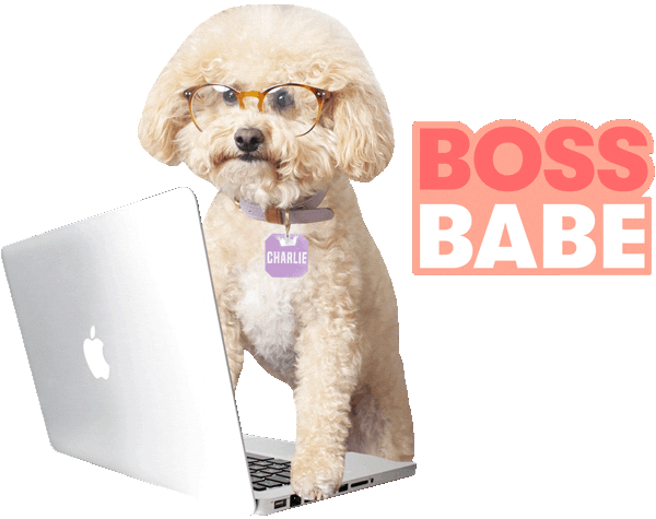 Dog Work Sticker for iOS & Android | GIPHY