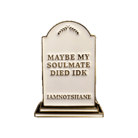 iamnotshane GIFs on GIPHY - Be Animated