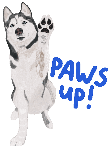 High Five Paw Sticker for iOS & Android | GIPHY