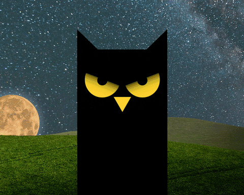 Dark Owl GIFs - Get the best GIF on GIPHY