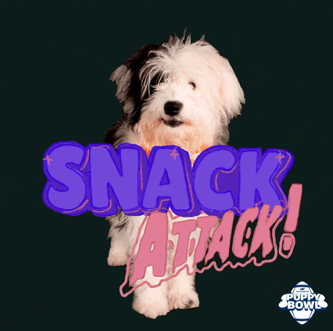 Puppy Treats GIFs - Get the best GIF on GIPHY