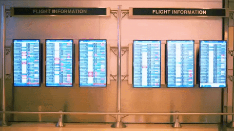 Airport Flight Information GIFs - Get the best GIF on GIPHY