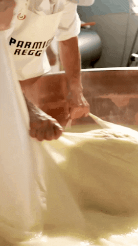 Parmigiano Reggiano GIFs on GIPHY - Be Animated