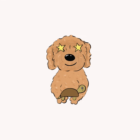 Happy Toy Poodle GIF - Find & Share on GIPHY