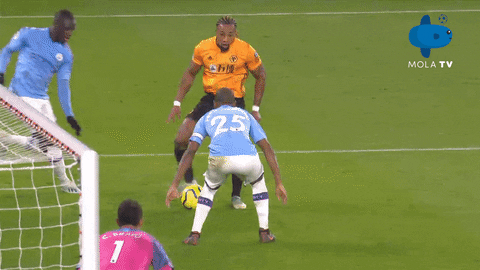 Wolves Penalty GIF by MolaTV - Find & Share on GIPHY