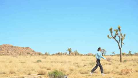 Walk Landscape GIF by Bay Ledges - Find & Share on GIPHY