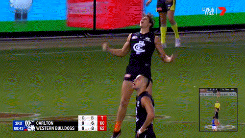 2019 AFL GIFs by AFL | GIPHY
