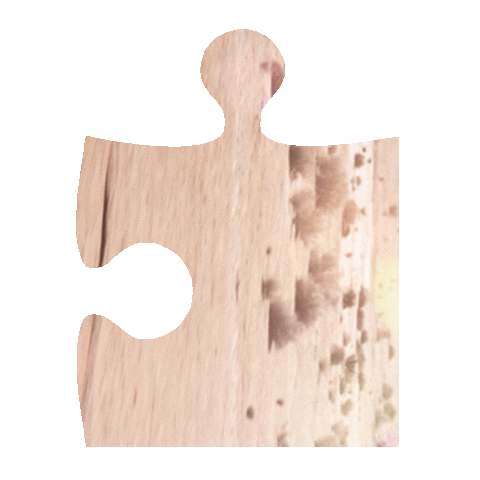 MazdaUSA GIFs on GIPHY - Be Animated