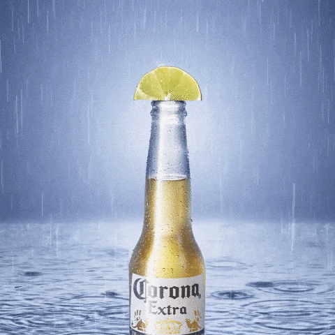 Corona Canada GIF - Find & Share on GIPHY