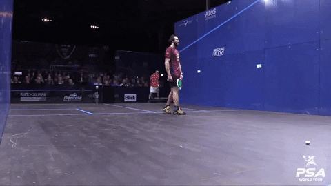 Bow Celebration GIFs - Get the best GIF on GIPHY