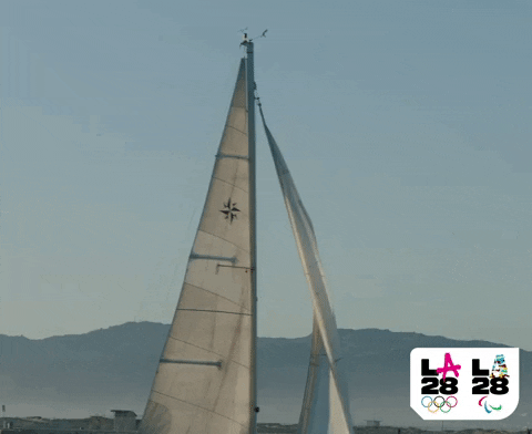 LA28 Games GIFs on GIPHY - Be Animated