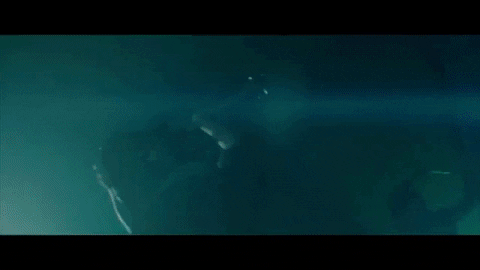 Body Bag GIFs on GIPHY - Be Animated