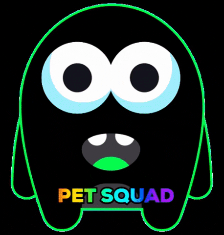 Pet-squad GIFs - Get the best GIF on GIPHY