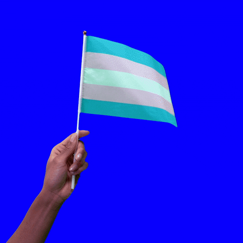 Transgender Awareness Week GIFs - Get the best GIF on GIPHY