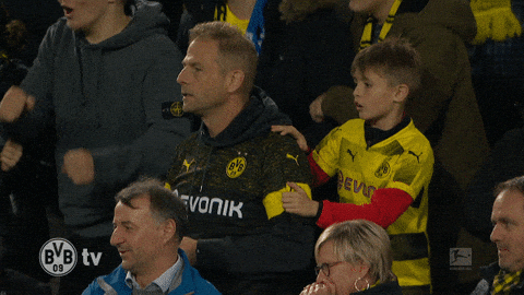 Borussia Dortmund Fans Gif