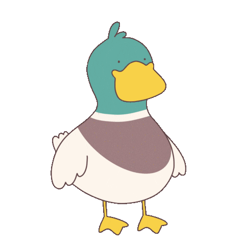 Dancing Duck Gif