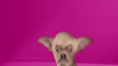 Muy Guau GIFs - Get the best GIF on GIPHY