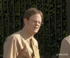 Question Dwight Gif
