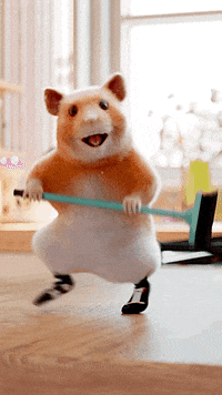 Hamster Dance Gif