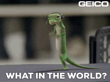 What A World GIFs - Get the best GIF on GIPHY