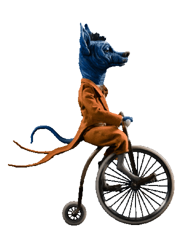 Taller del Chucho GIFs on GIPHY - Be Animated