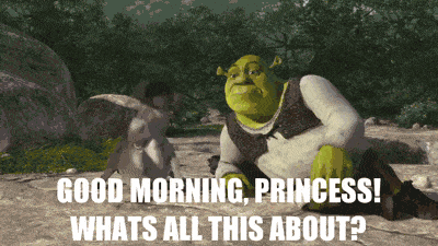 Whats-all-this GIFs - Get the best GIF on GIPHY