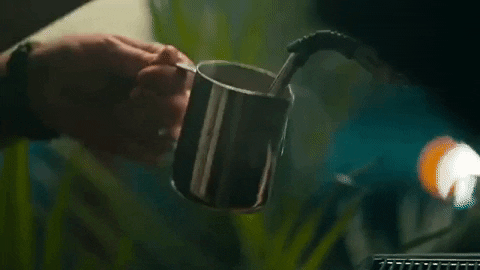 Coffeesnob GIFs - Get the best GIF on GIPHY