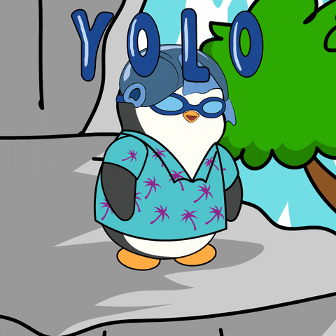 You Only Live Once Yolo GIF by Pudgy Penguins - Find & Share on GIPHY
