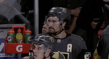Vegas Golden Knights GIFs on GIPHY - Be Animated