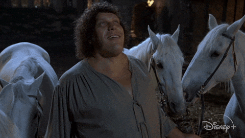 The Princess Bride GIFs on GIPHY - Be Animated