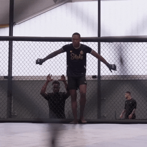 UFC Clips - Be Animated