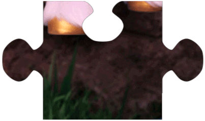 Pipp Puzzle GIFs on GIPHY - Be Animated