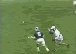 check down | Tag | PrimoGIF