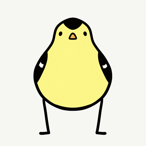 Birder GIFs - Get the best GIF on GIPHY