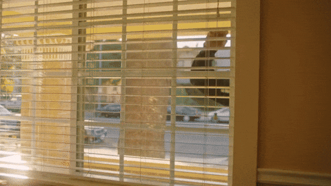 Looking-in GIFs - Get the best GIF on GIPHY