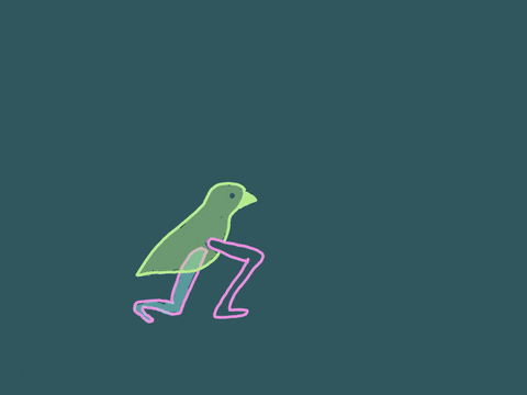 Flightless GIFs - Get the best GIF on GIPHY