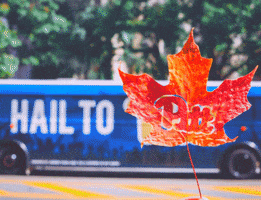 Pitt Admissions GIFs on GIPHY - Be Animated