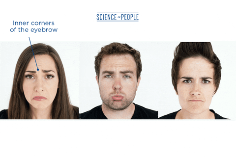 Sad Facial Expression GIF by Vanessa Van Edwards - Find & Share on GIPHY